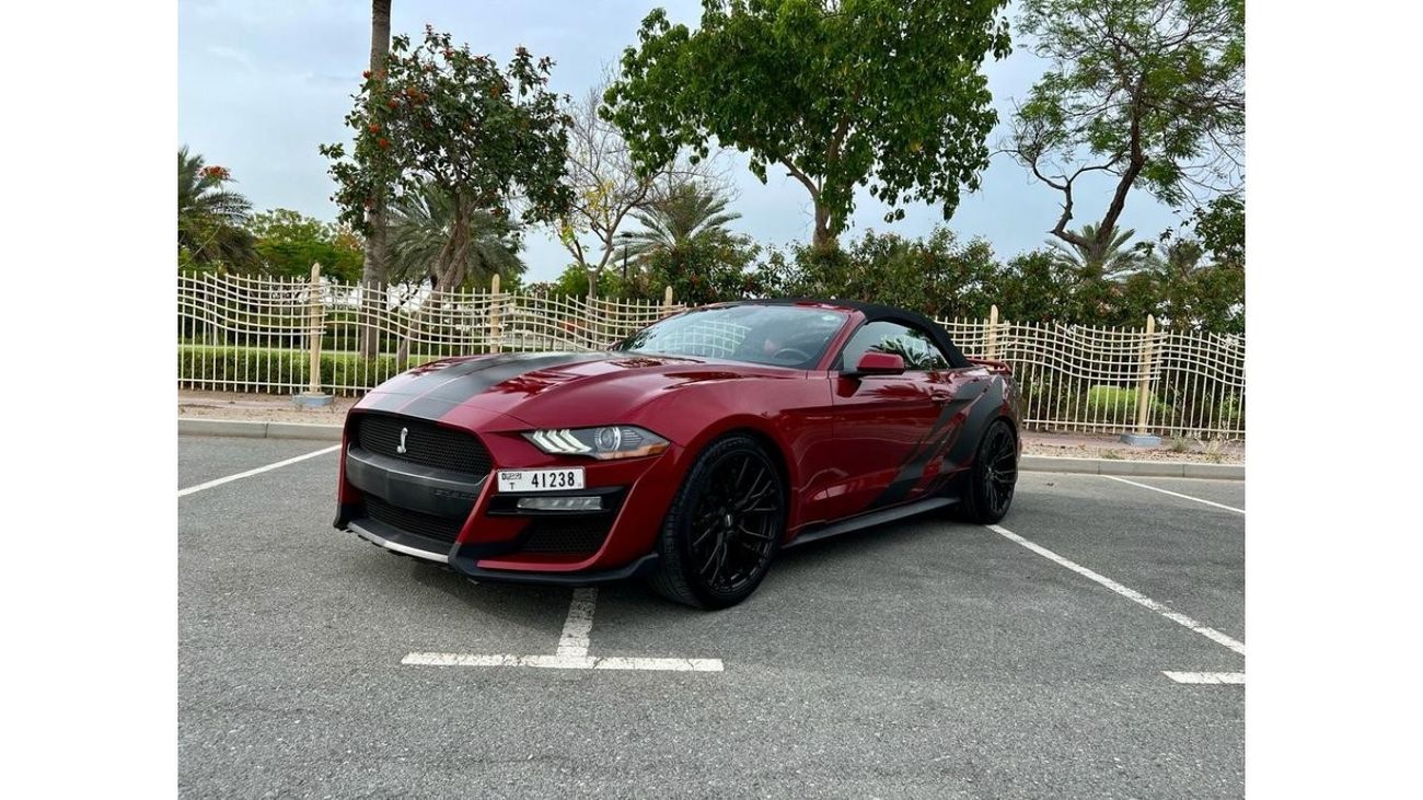 Used EcoBoost Premium FORD MUSTANGE ECOBOOST CONVERTIBLE 2019 for sale ...