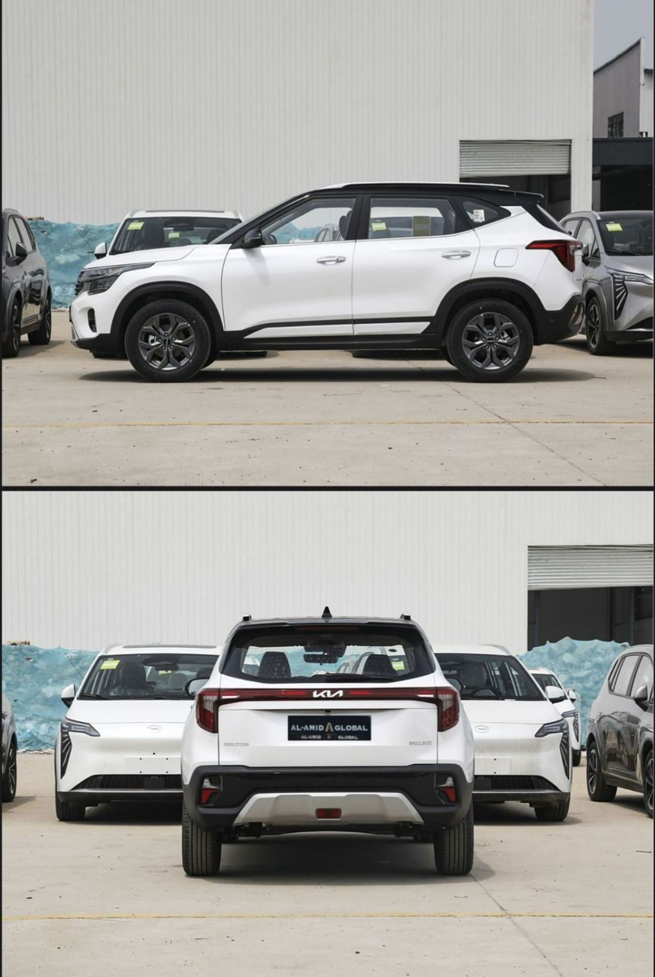New Kia Seltos available white dual tone and grey dual tone 2025 for ...