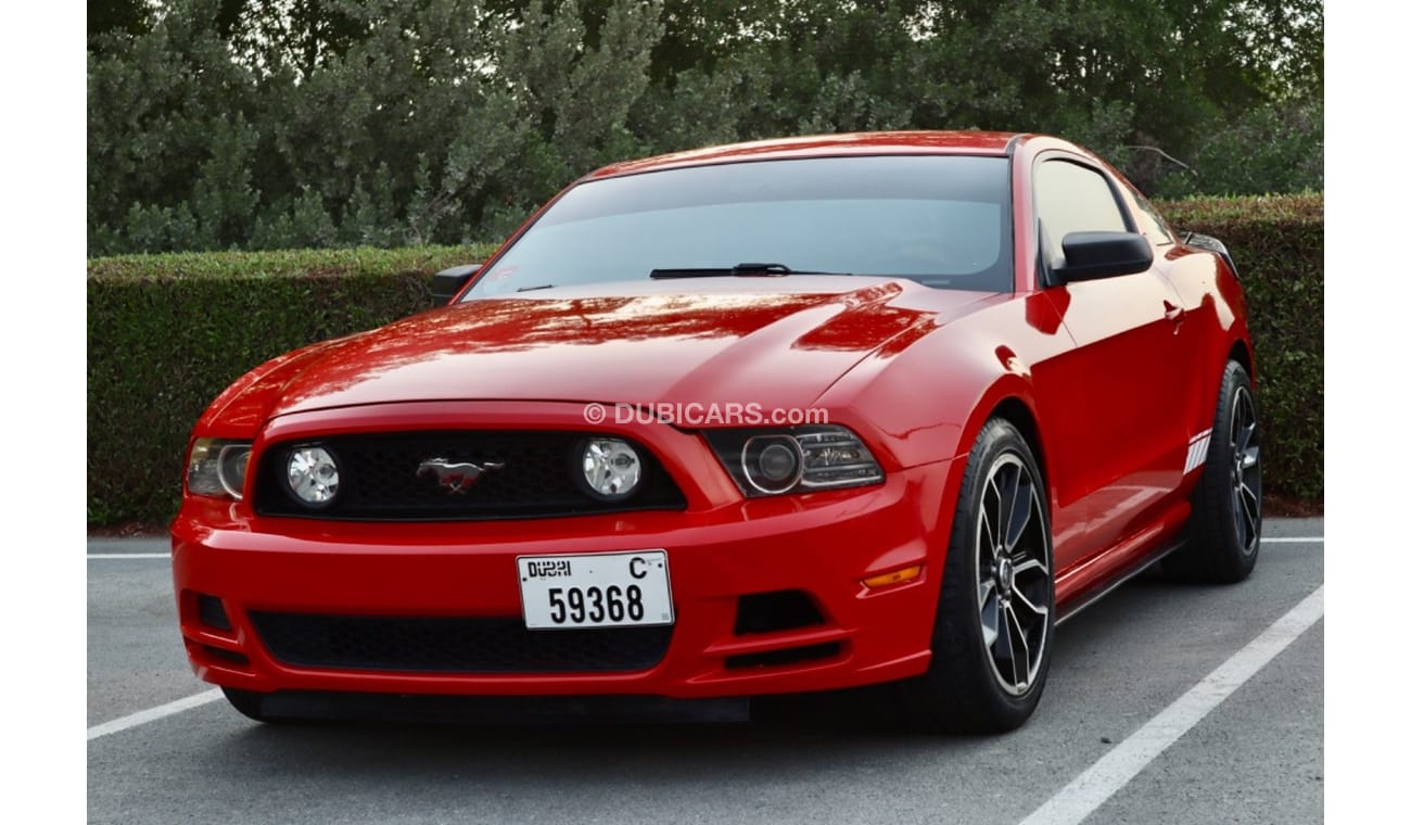 Used Ford Mustang Std Mustang V6 Model 2014 3.7L very clean car 2014 ...
