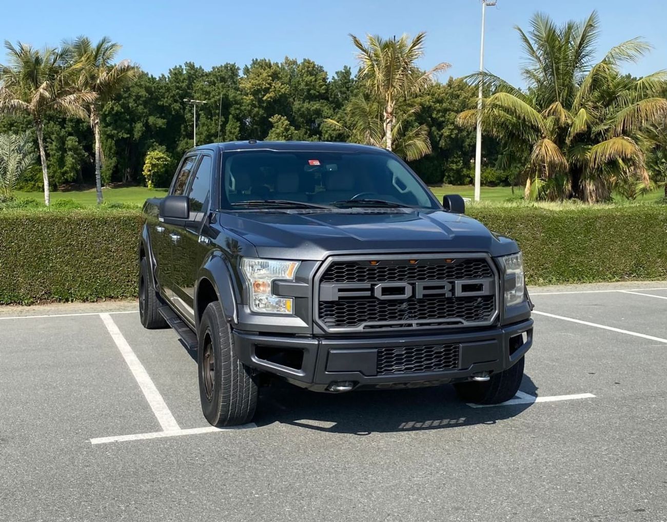 Used Ford F 150 FX4 Luxury Good condition car 2016 for sale in Dubai ...