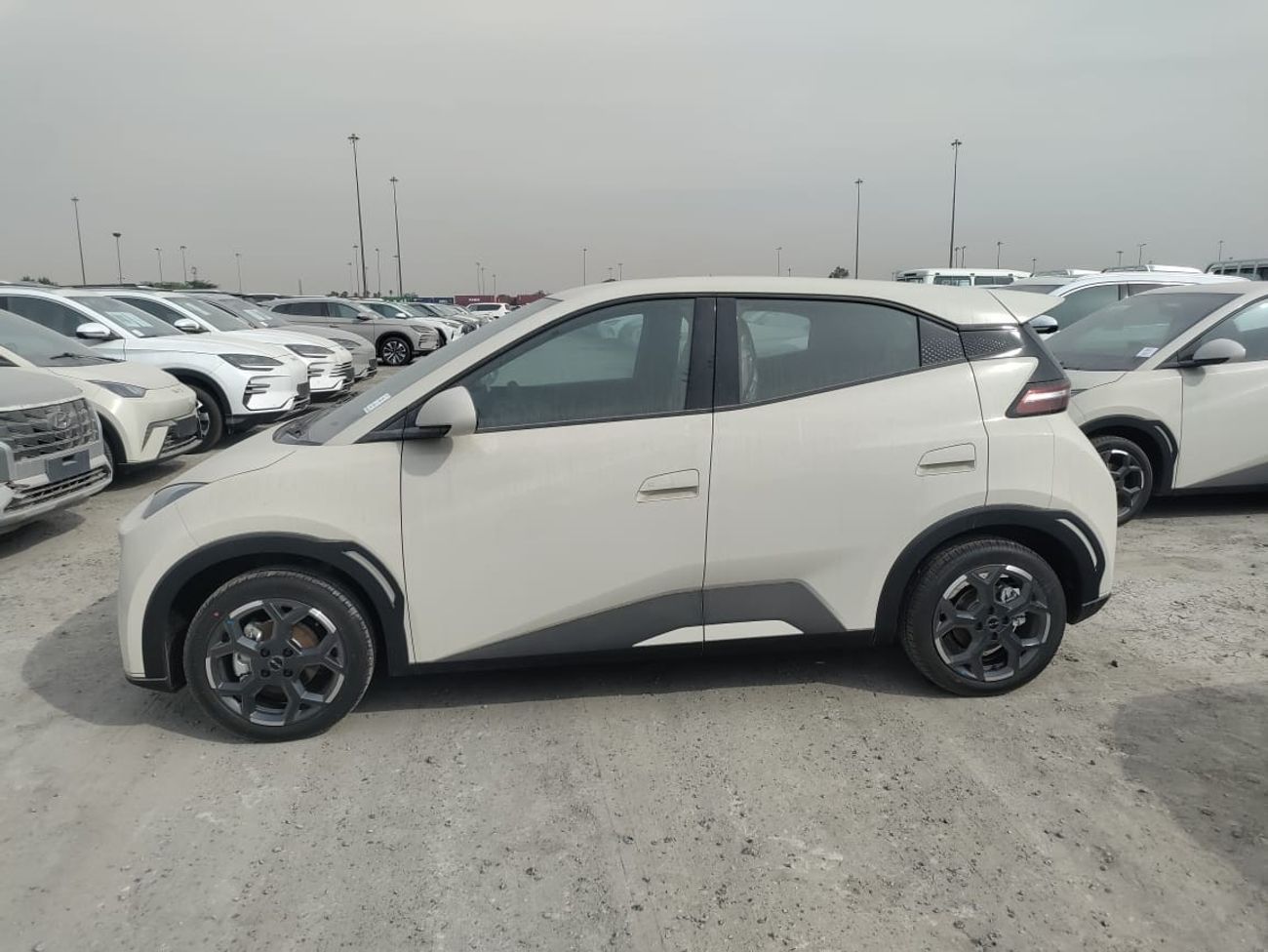 New BYD Seagull 2025 405km Flying version 2025 for sale in Dubai - 850668