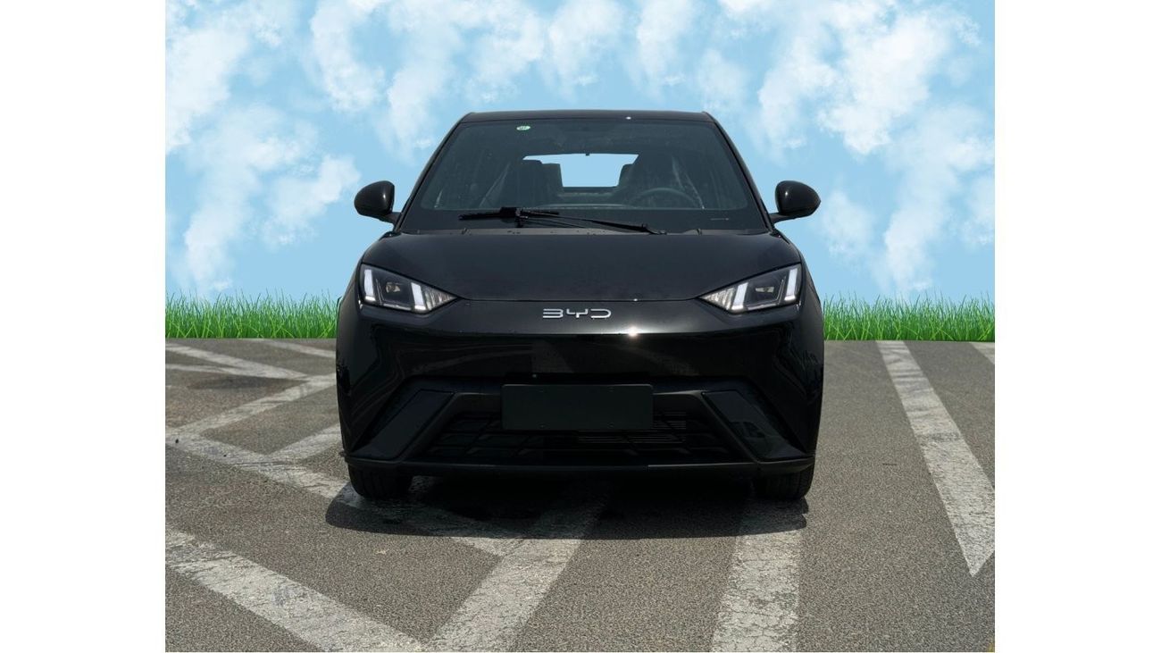 New BYD Seagull SEAGULL FLYING HI 2024 HATCHBACK ELECTRIC 2024 for sale ...