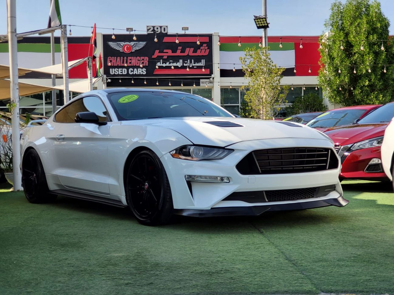 Used BOOK YOUR DREAM CAR Ford Mustang GT 2019 White 5.0L Roush body kit ...