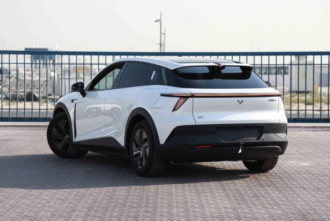 New Ji Yue 01 2023 JIYUE 01 MAX - White inside Black | Export Only 2023 ...