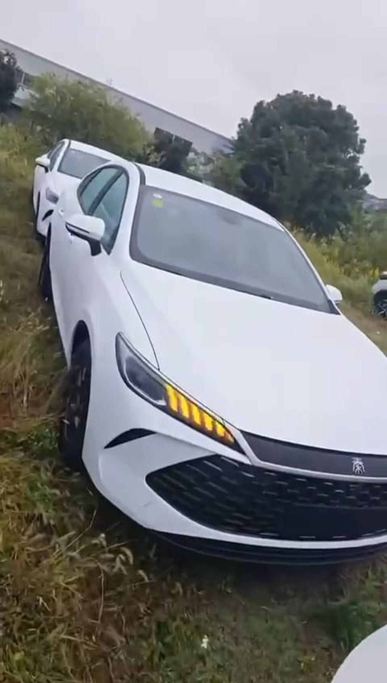 New BYD Qin PLUS DM-i Smart Driving Edition 128KM Aggressive MY-2025 ...