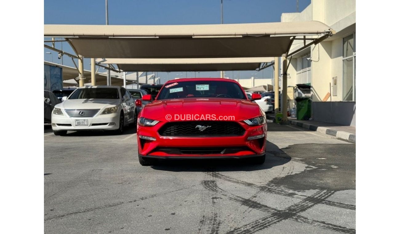 Used EcoBoost Premium Ford Mustang EcoBoost /USA/2019 / Low Mileage ...