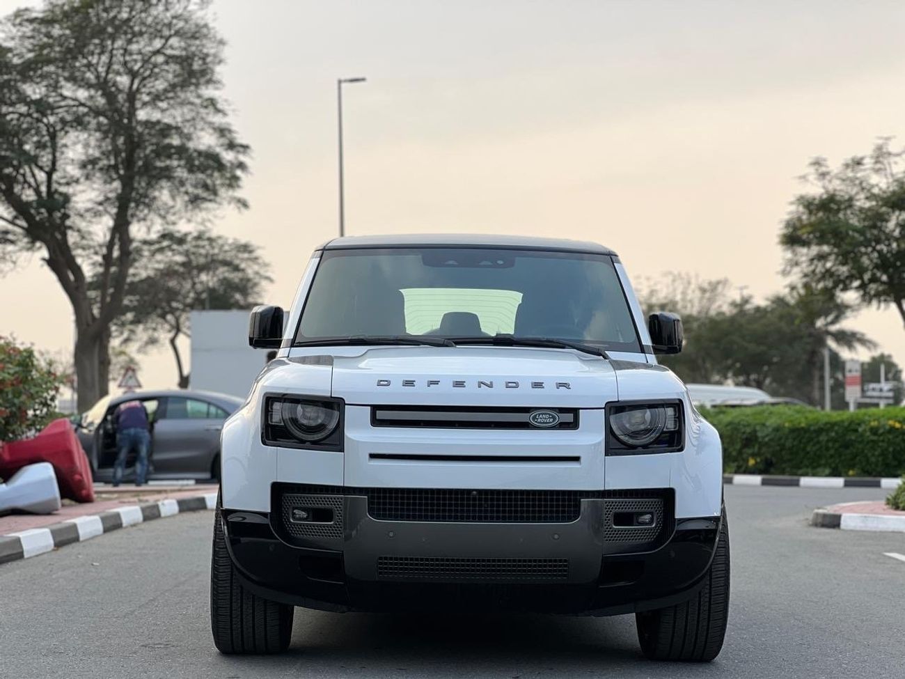 Used Land Rover Defender Edition Gulf 8 cylinder, in agency condition ...