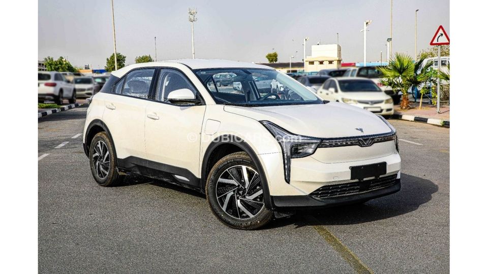 New Hozon Auto Neta U Pro 500 2021 Hozon Neta U Pro | Export Only 2021 ...