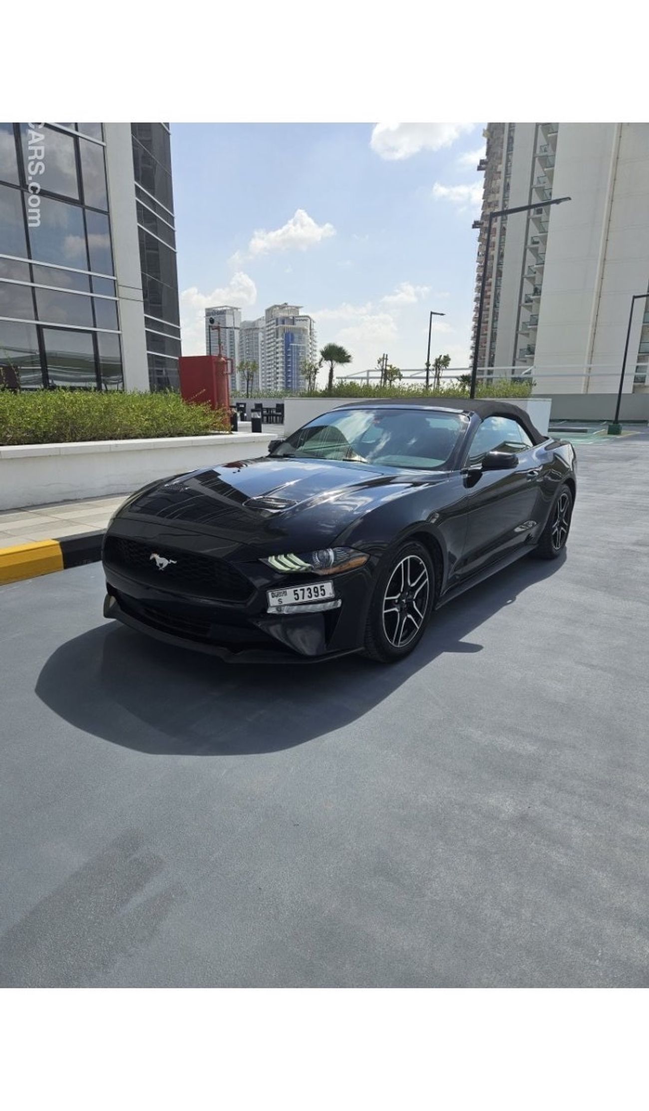 Used Ford Mustang 2.3 Ecoboost (No accidents) URGENT SALE 2018 for sale ...