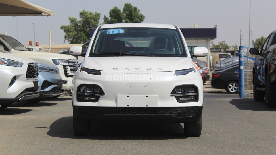 New Dayun Yuehu Electric Car for Export sale only 2022 for sale in ...