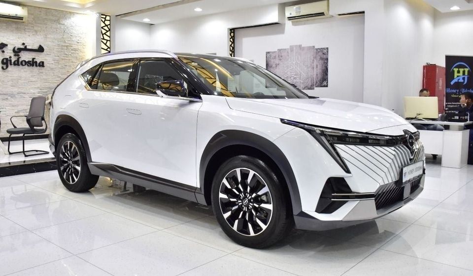 New EXCELLENT DEAL for our GAC Emkoo ( 2025 Model ) in White Color GCC ...