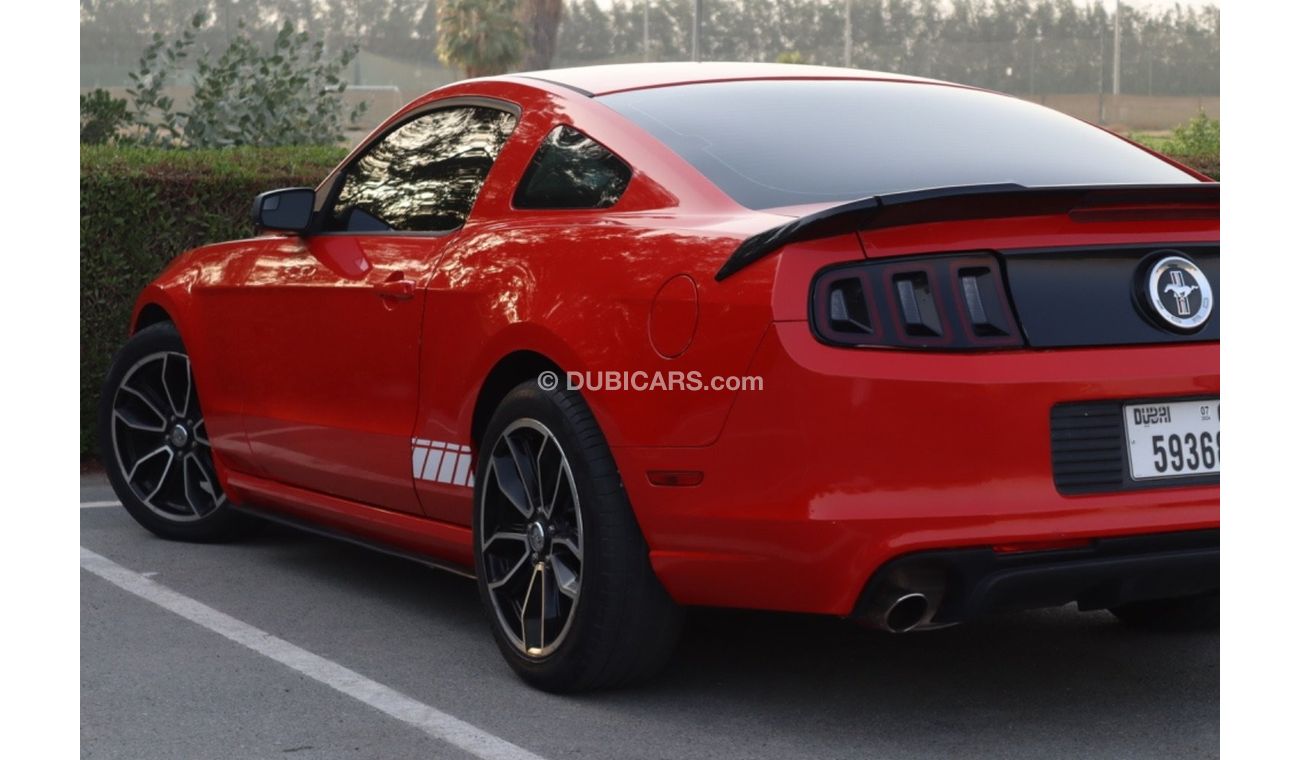 Used Ford Mustang Std Mustang V6 Model 2014 3.7L very clean car 2014 ...